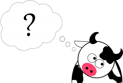 Download Confused Cow - Cattle - Full Size PNG Image - PNGkit