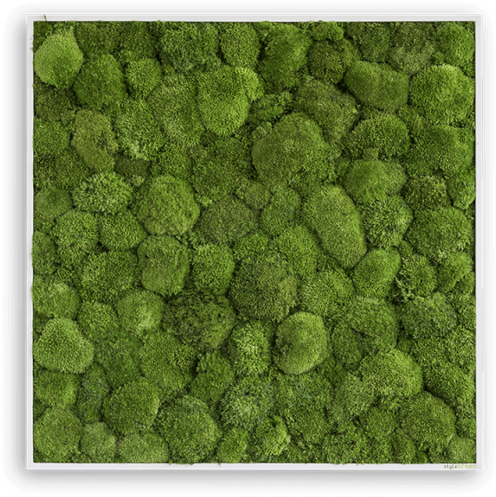 Download Free Moss Png Clip Black And White Download - Stylegreen ...