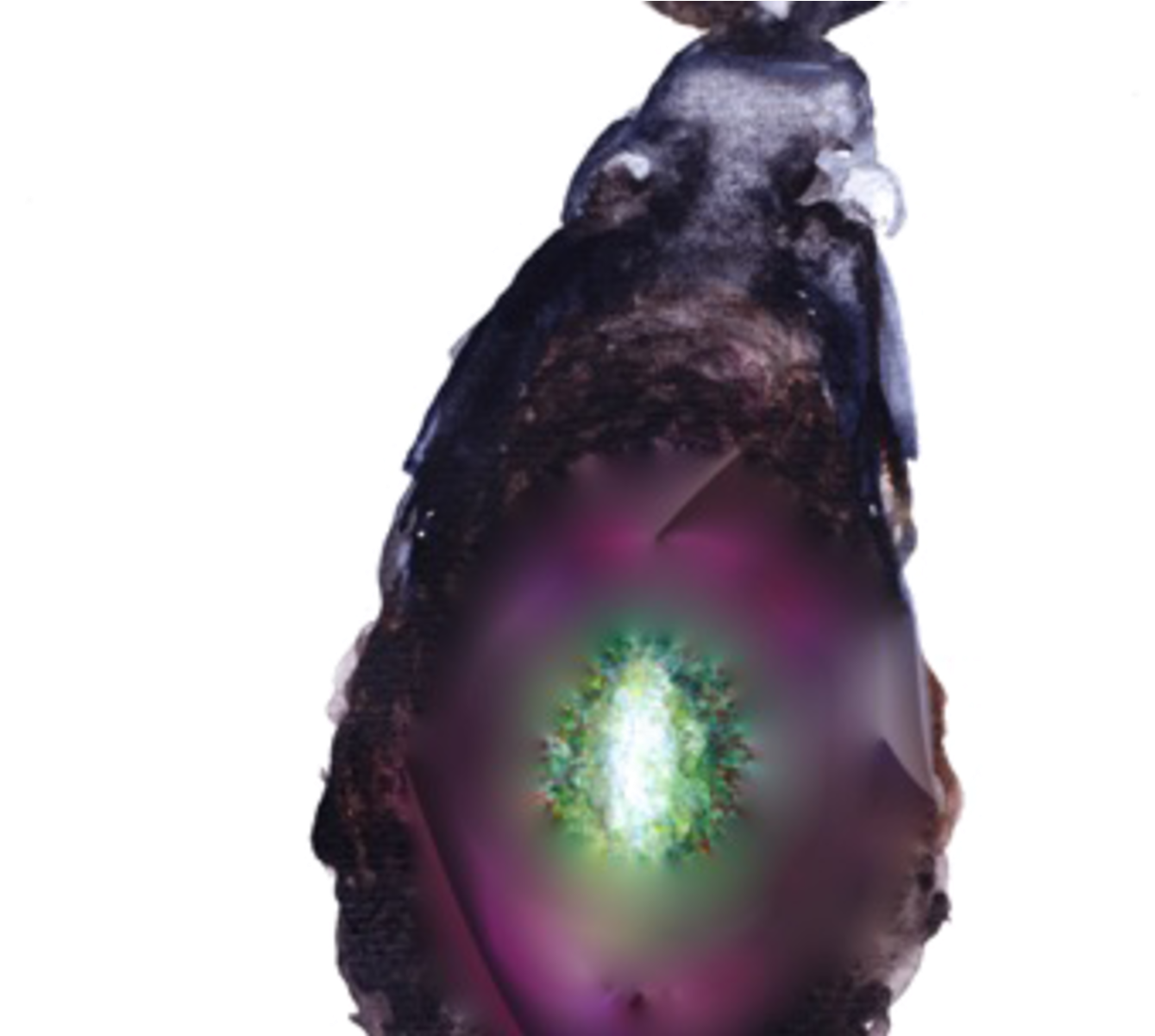 Download Beetle - Full Size PNG Image - PNGkit