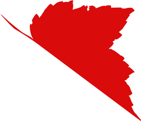 Download Maple Leave Nerv - Logo Nerv Png - Full Size PNG Image - PNGkit