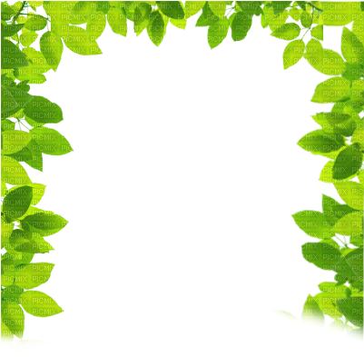 Download Printemps Cadre Green Leaves Border Frame Spring - ブッダの優しい論理学 ...