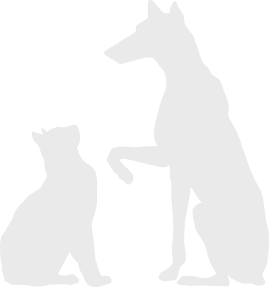 Download Dog And Cat Silhouette - Silhouette - Full Size PNG Image - PNGkit