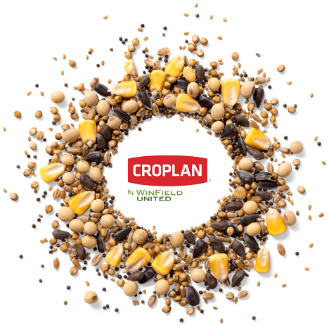 Download Croplanimage - Croplan - Full Size PNG Image - PNGkit