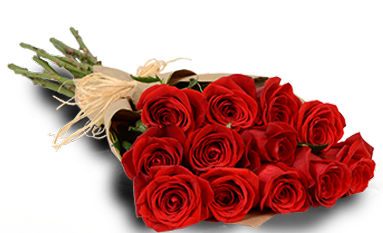 Download Red Roses - 1 Dozen Of Roses - Full Size PNG Image - PNGkit
