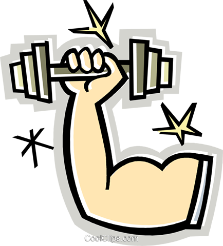 Download Vector Library Library Collection Of Muscle Png High ...