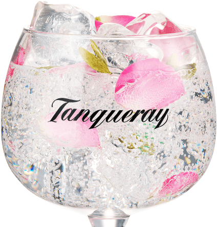 Download Tanqueray - Full Size PNG Image - PNGkit