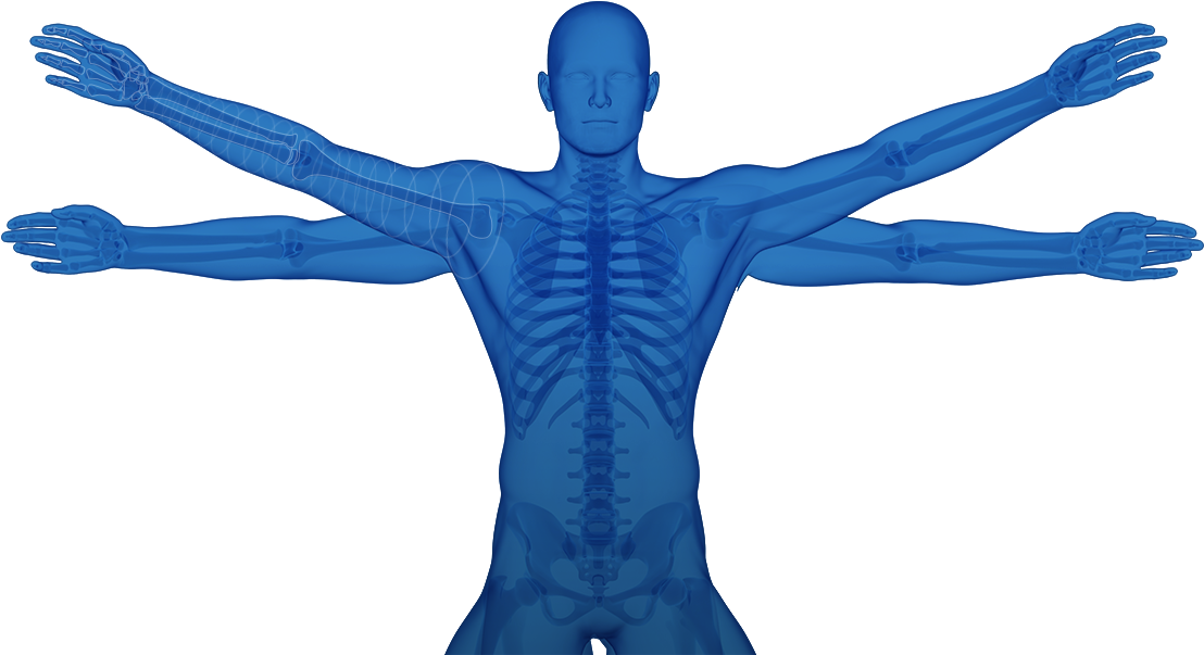 Download Get To Know The Hand & Upper Extremity Team - Male - Full Size ...