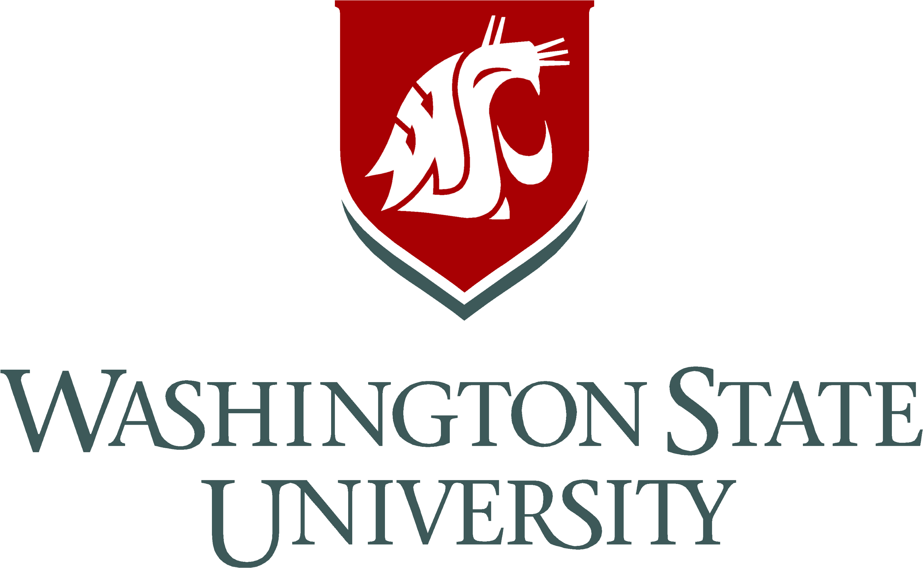Download Wsu Logo Vert Cmyk - Washington State University - Full Size ...