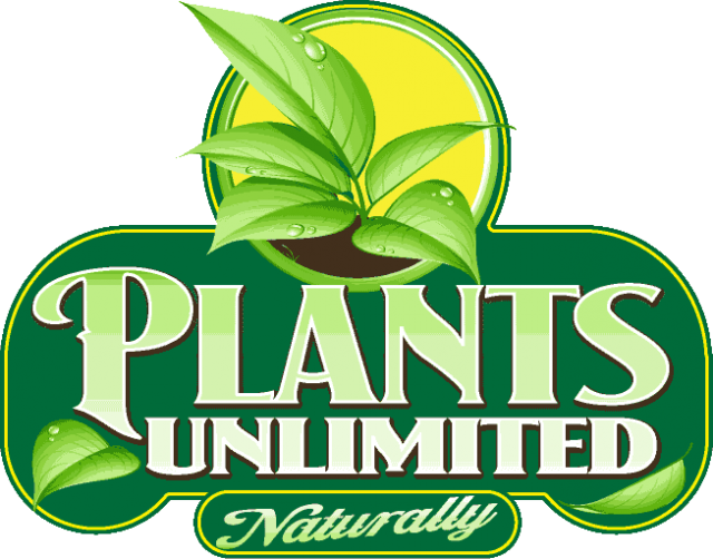 Download A Shop Sales Assistant And A Perennials Manager - Logo Plants ...