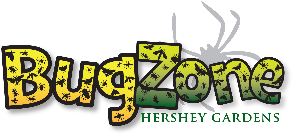 Download Bug Zone Inc. - Full Size PNG Image - PNGkit