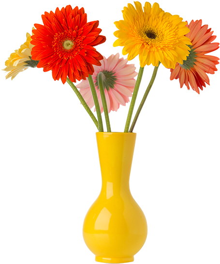 Download Flor - Show Gerbera Flower Vase - Full Size PNG Image - PNGkit