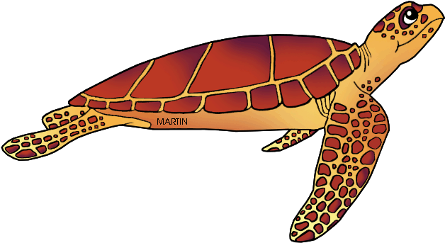 Download United States Clip Art By Phillip Martin - Kemp's Ridley Sea ...