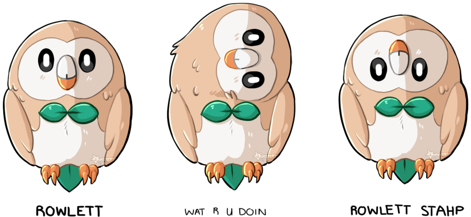 Download Transparent Library Birb Drawing Rowlet - Cartoon - Full Size ...