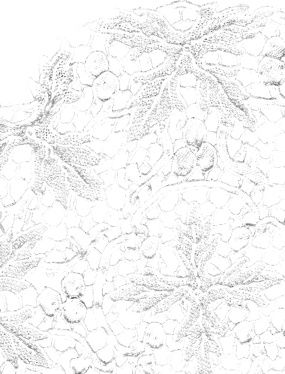 Download Normal Map Image = Md5 Texture Slot - Lace Opacity Map - Full ...