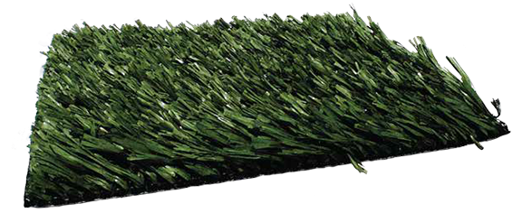 Download True Grass Pl53 - True Grass - Full Size PNG Image - PNGkit