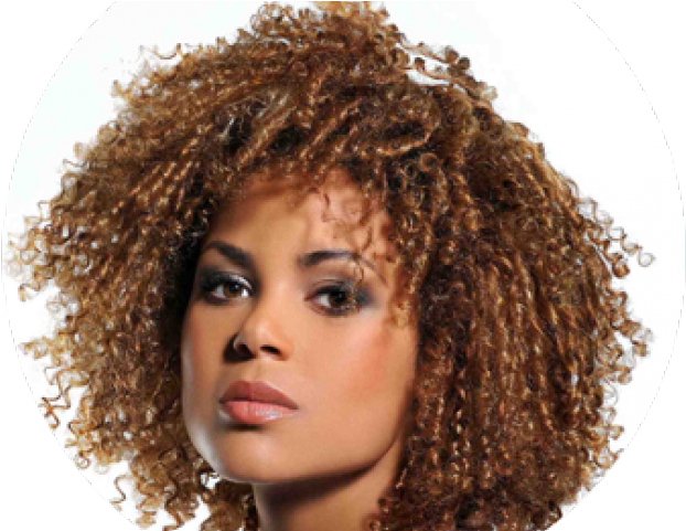 Download Transparent Afro Hair Png - Full Size PNG Image - PNGkit