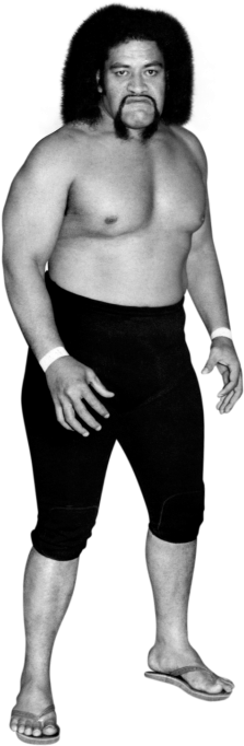 Download The Wild Samoans - Wwe Afa - Full Size PNG Image - PNGkit