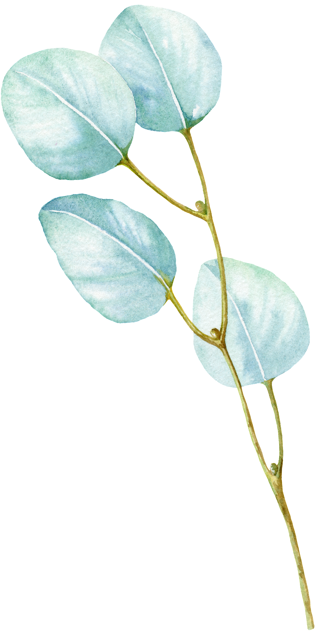 Download White Leaf Cartoon Transparent - Portable Network Graphics ...