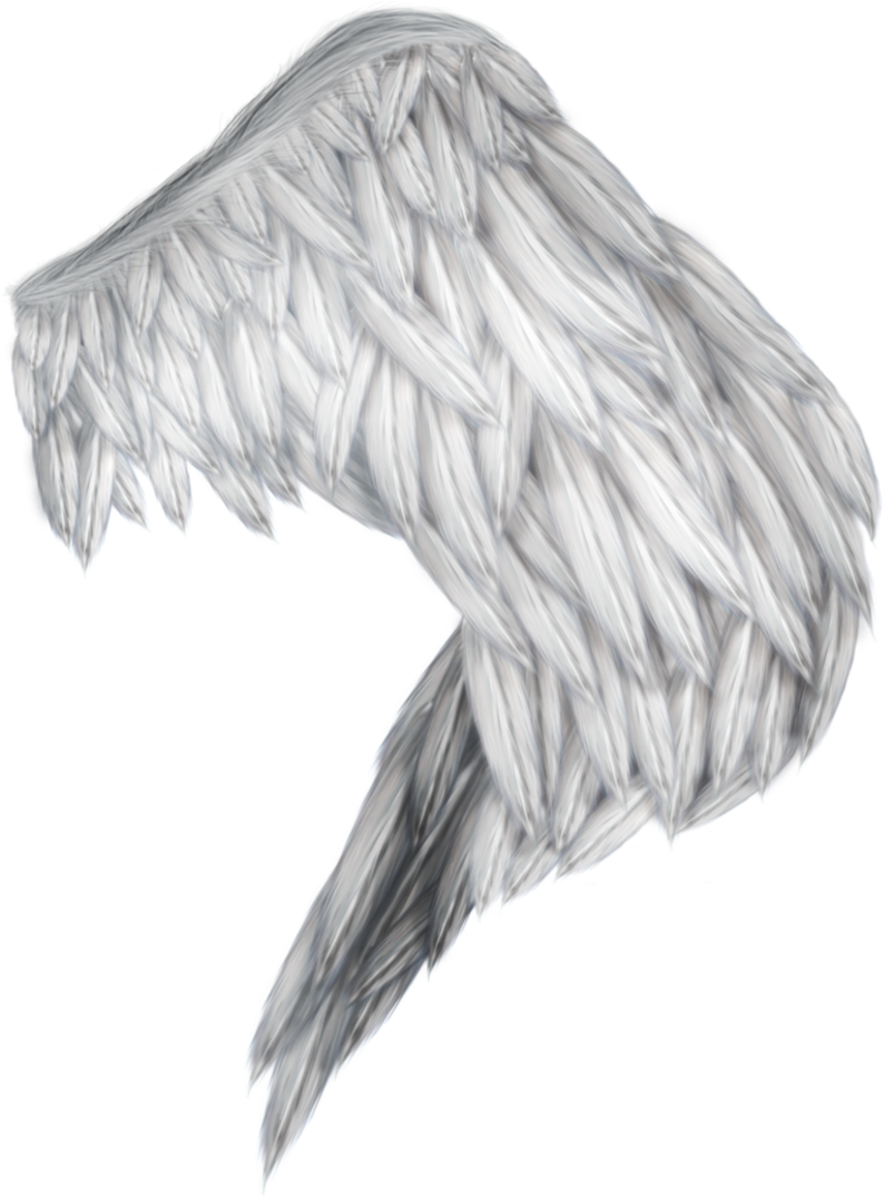 Download Ali Di Angelo Png - Ali Png - Full Size PNG Image - PNGkit