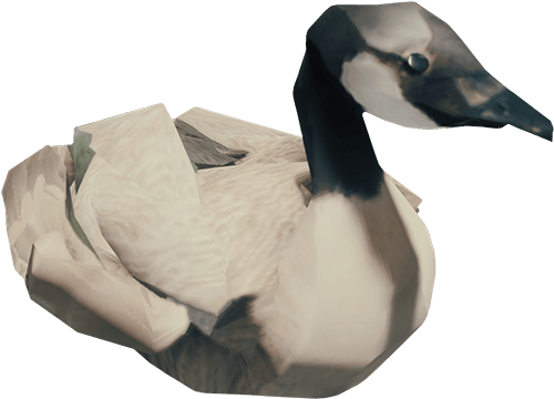 Download Goose - Full Size PNG Image - PNGkit