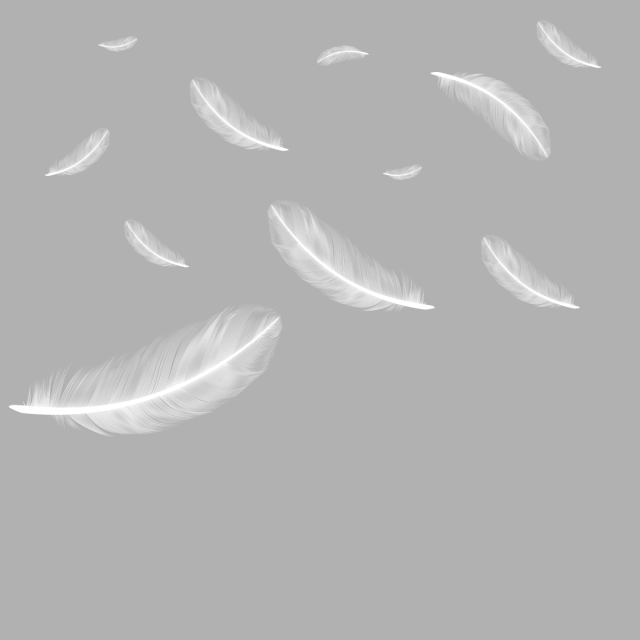 Download Floating Falling Feather, Feather, Feathers, Feathers ...