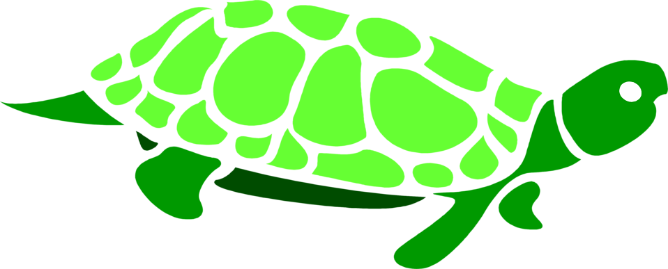 Download Turtle Clipart Transparent Background - Turtle With ...