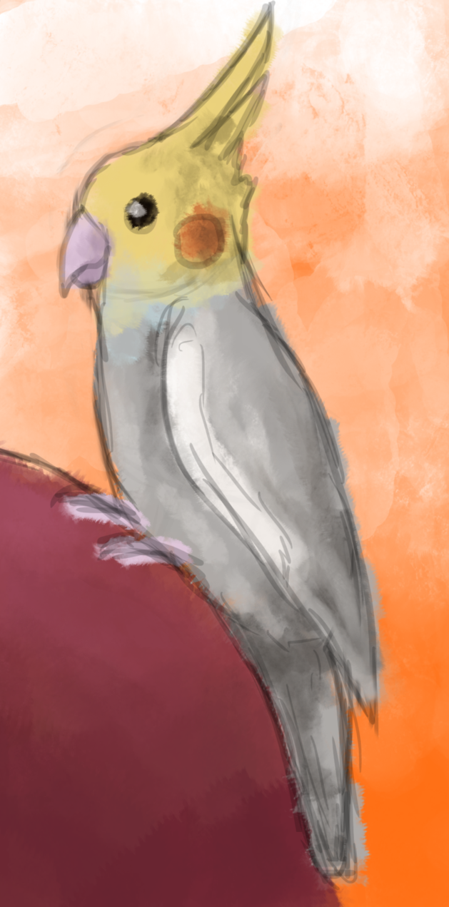 Download Mirabelle By Cinnamon - Drawing - Full Size PNG Image - PNGkit