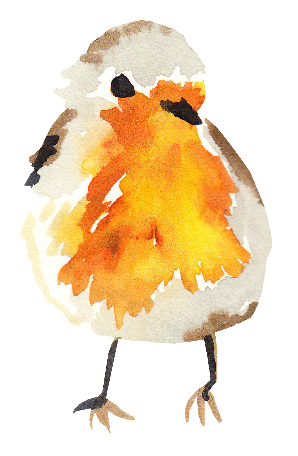 Download Bird Seed For Funerals - Full Size PNG Image - PNGkit