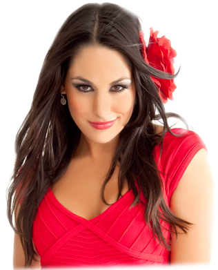 Download Wwe Brie Bella - Full Size PNG Image - PNGkit