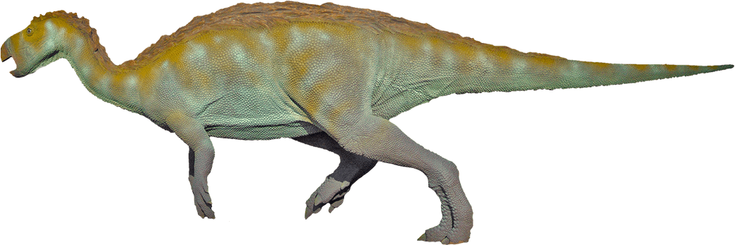 Download Iguanodon - Moab Giants Dinosaur Png - Full Size PNG Image ...