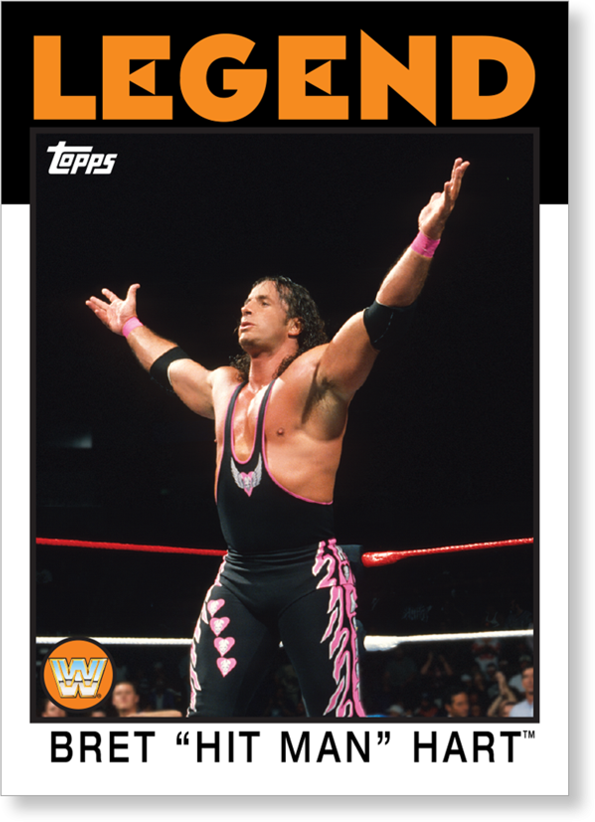 Download Jim The Anvil Neidhart Poster - Full Size PNG Image - PNGkit