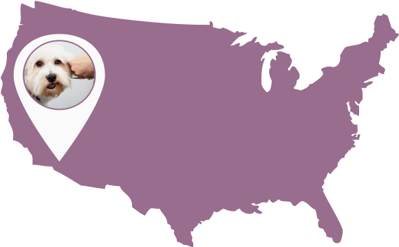 Download Map Hollywood Grooming@2x - Hillary And Trump States - Full ...