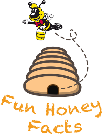 Download Fun Facts Mudgee Haven - (you)r Money [book] - Full Size PNG ...