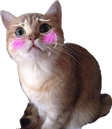 Download Sad Cat Sadcat Cute Kitten Freetoedit - Cat - Full Size PNG ...