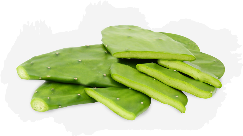 Download Nopales Are Thick, Oval, Flat, Modified Stems Of The - Nopal ...