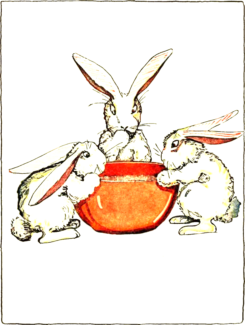 Download Peter Rabbit Albert 59 - The Tale Of Peter Rabbit - Full Size ...