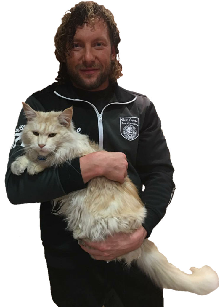 Download Kenny Omega Png Photo - Kenny Omega Cat - Full Size PNG Image ...