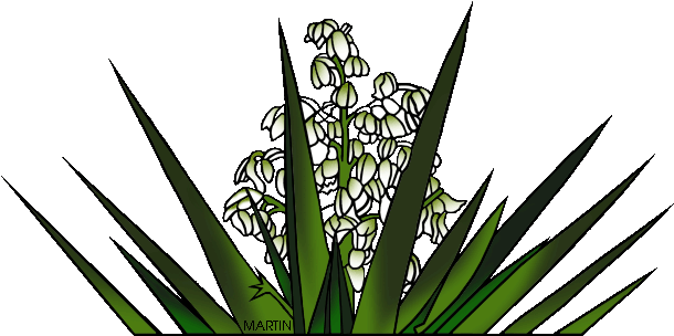 Download New Mexico State Flower Yucca Flower - New Mexico State Yucca ...