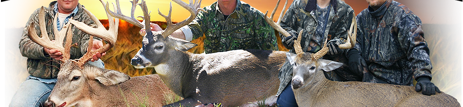 Download Trophy Ridge Whitetail Hunts - Deer Hunting - Full Size PNG ...