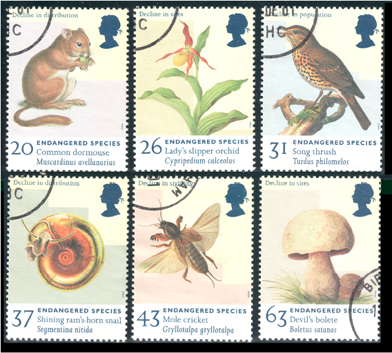 Download 3 - 4 - Tif - Endangered Species Postage Stamp - Full Size PNG ...