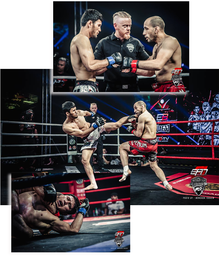 Download Someone's Winning Streak Is About To Be Ended That ...