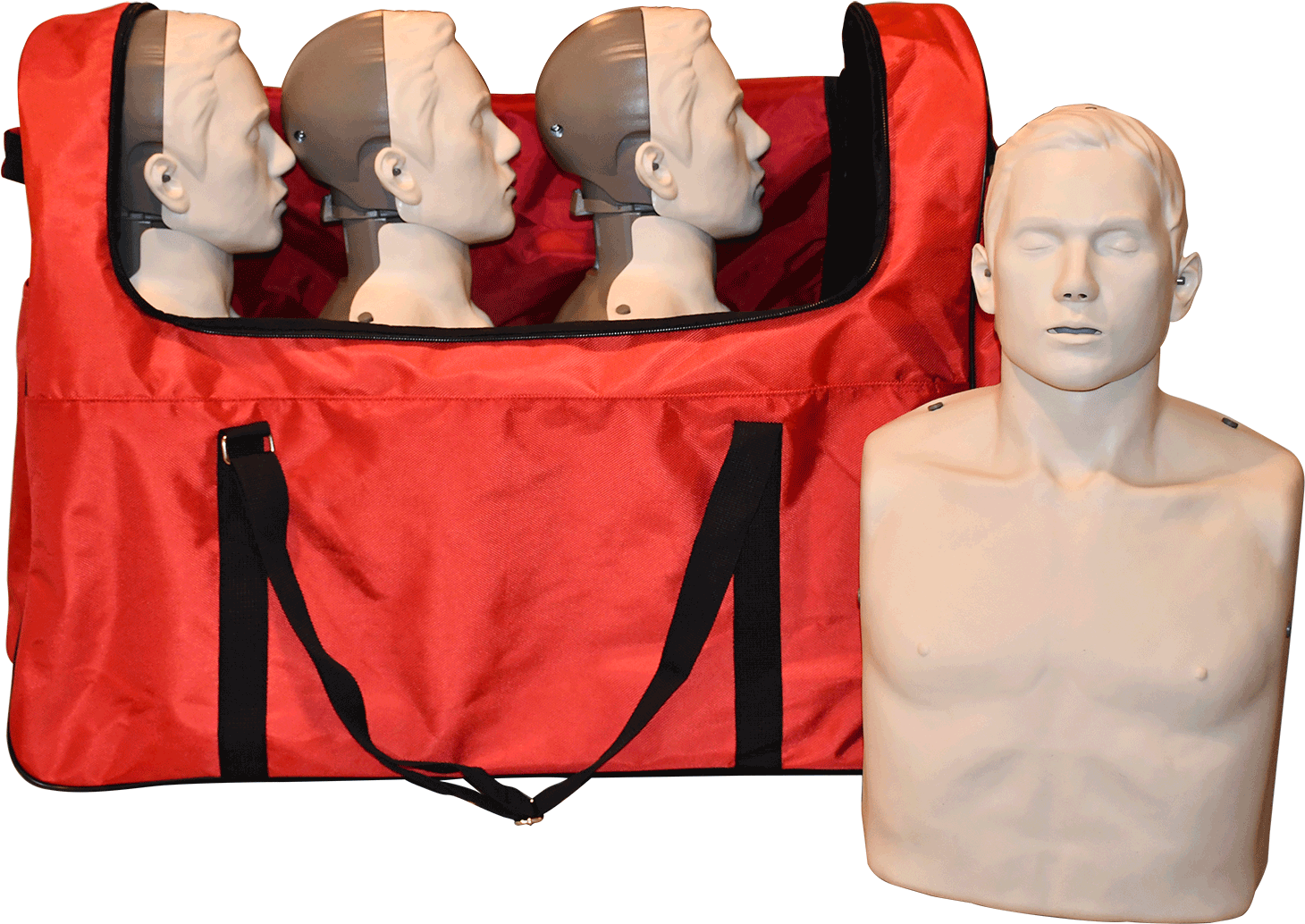 Download Bigred™ Adult Cpr Manikin With Led Light Cpr Feedback ...