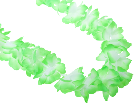 Download Transparent Hawaiian Lei Garland Green - Hawaii - PNGkit