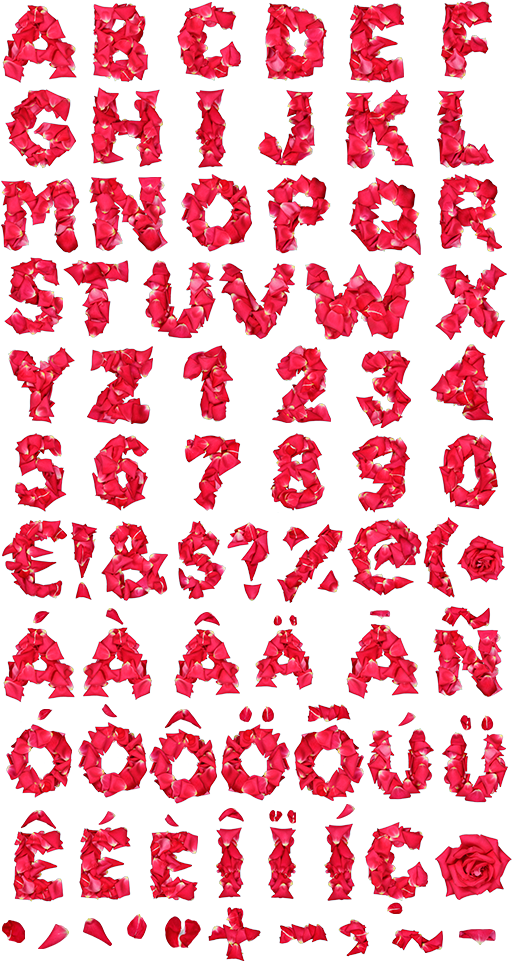 Download Red Rose Petals Font Alphabet - Petals Font - Full Size PNG ...