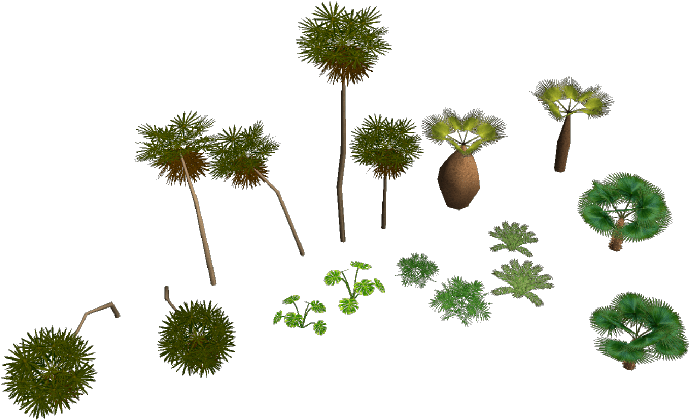 Download Tropical Trees Pajaj - Rct3 Trees - Full Size PNG Image - PNGkit