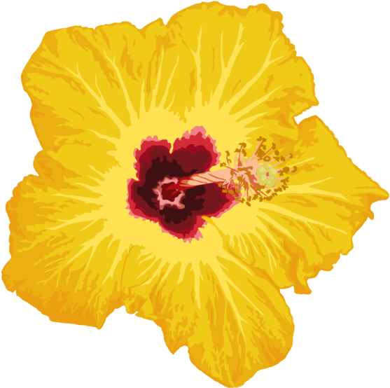 Download Flower Png By Chingiz Han - Flower - Full Size PNG Image - PNGkit