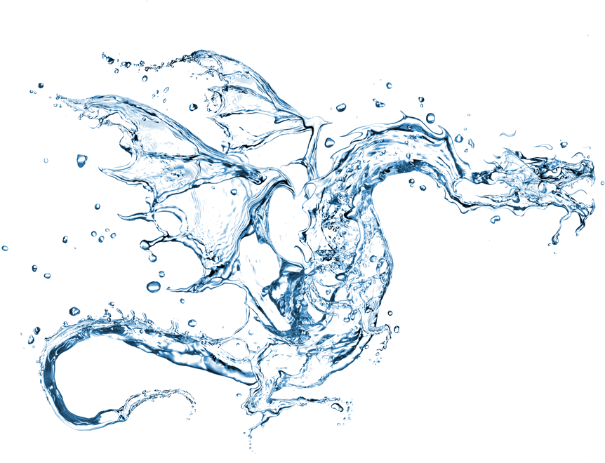 Download The Year Of The Yang Water Dragon - Chinese Water Dragon ...