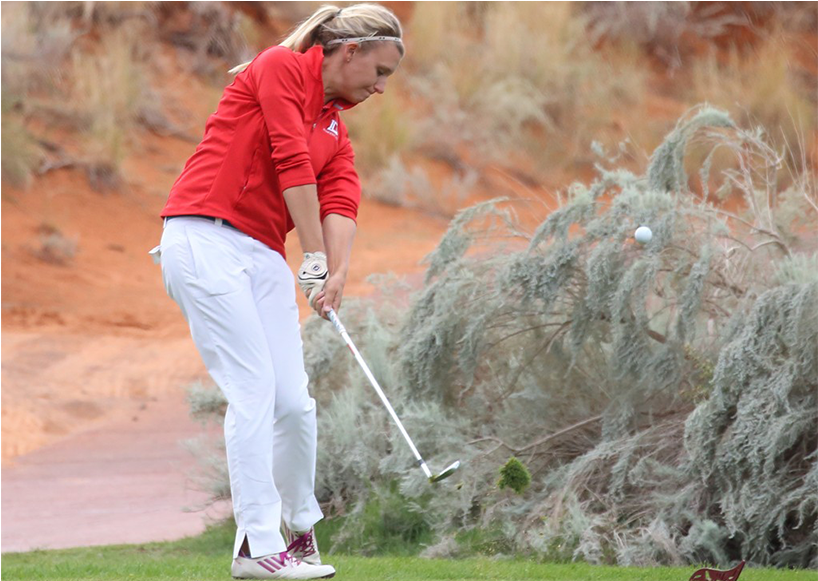 Download Dixie State University - Full Size PNG Image - PNGkit