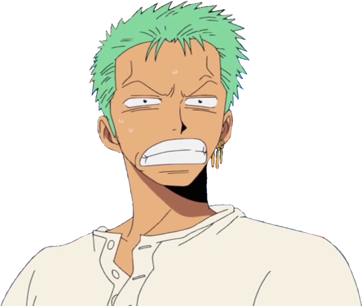 Download Please, Have A Transparent Flustered Zoro - Cartoon - Full ...