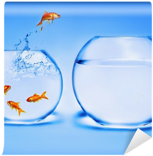 Download Goldfish Jumping Out Of The Water Wall Mural • Pixers® - Jump ...